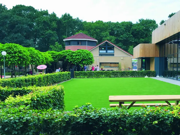 Stunning Hedge Landscaping Ideas for a Polished, Pretty Yard - Home Deviser